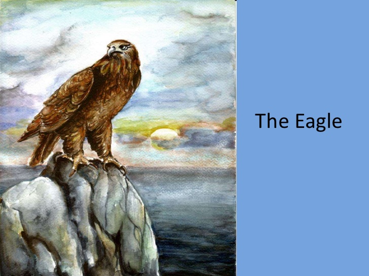 The Eagle – Literary Globe